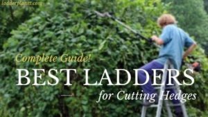6 Best Ladders For Cutting Hedges: Top Hedge Trimming Ladders