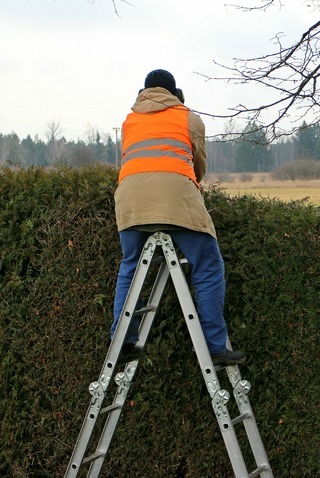6 Best Ladders For Cutting Hedges: Top Hedge Trimming Ladders