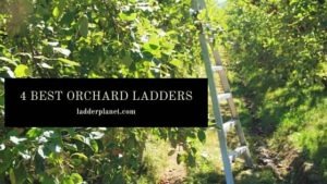 4 Best Orchard Ladders For Fruit Picking