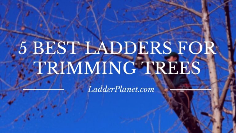 5 Best Ladders For Trimming Trees: Top Tree Ladders
