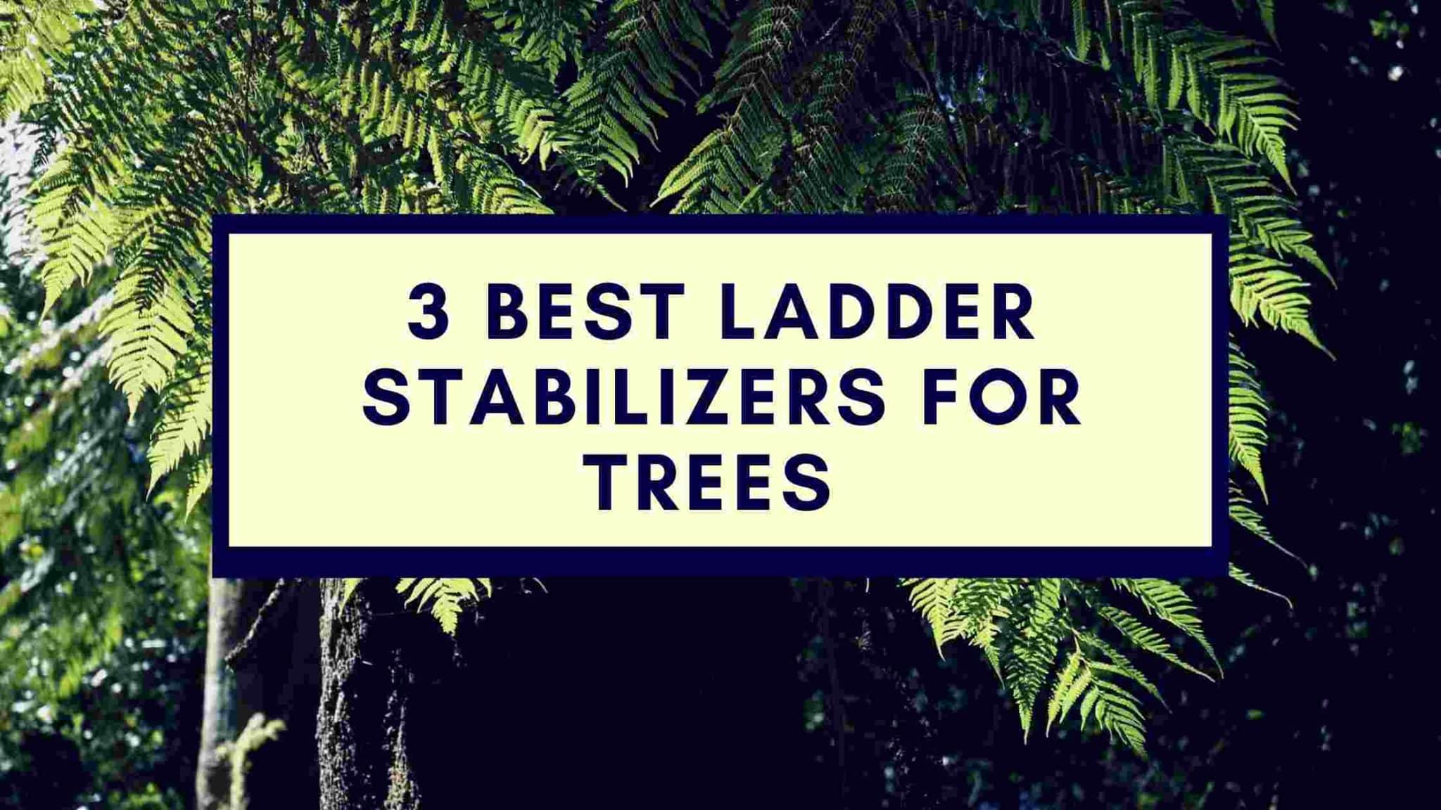 3 Ladder Stabilizers For Trees: Cut & Trim Trees Easily!